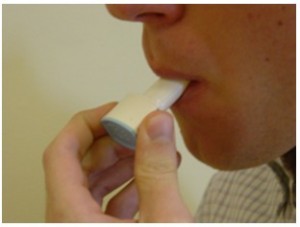 Rheological Study of Blends for Dry Powder Inhalers (DPI) Applications